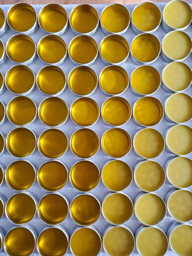 How to Make Salve or Balms 101: Simple Flexible Recipe ~ Homestead and ...