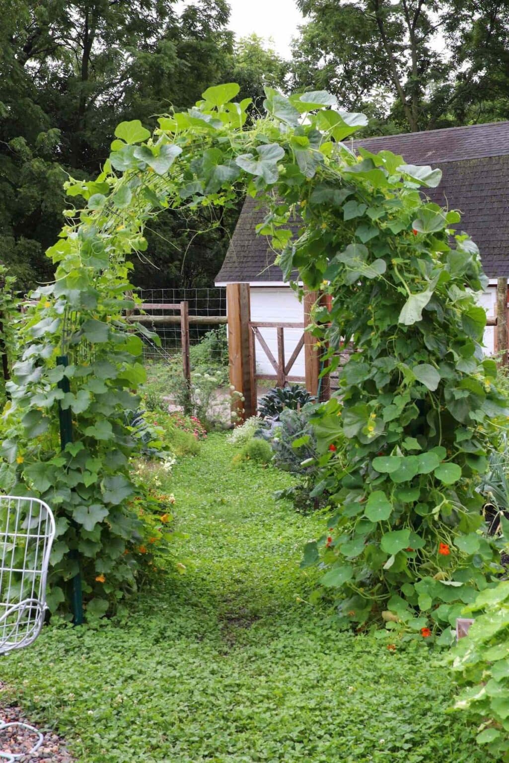 7 Best Cucumber Trellis Ideas + Easy DIY Designs with Photos ...