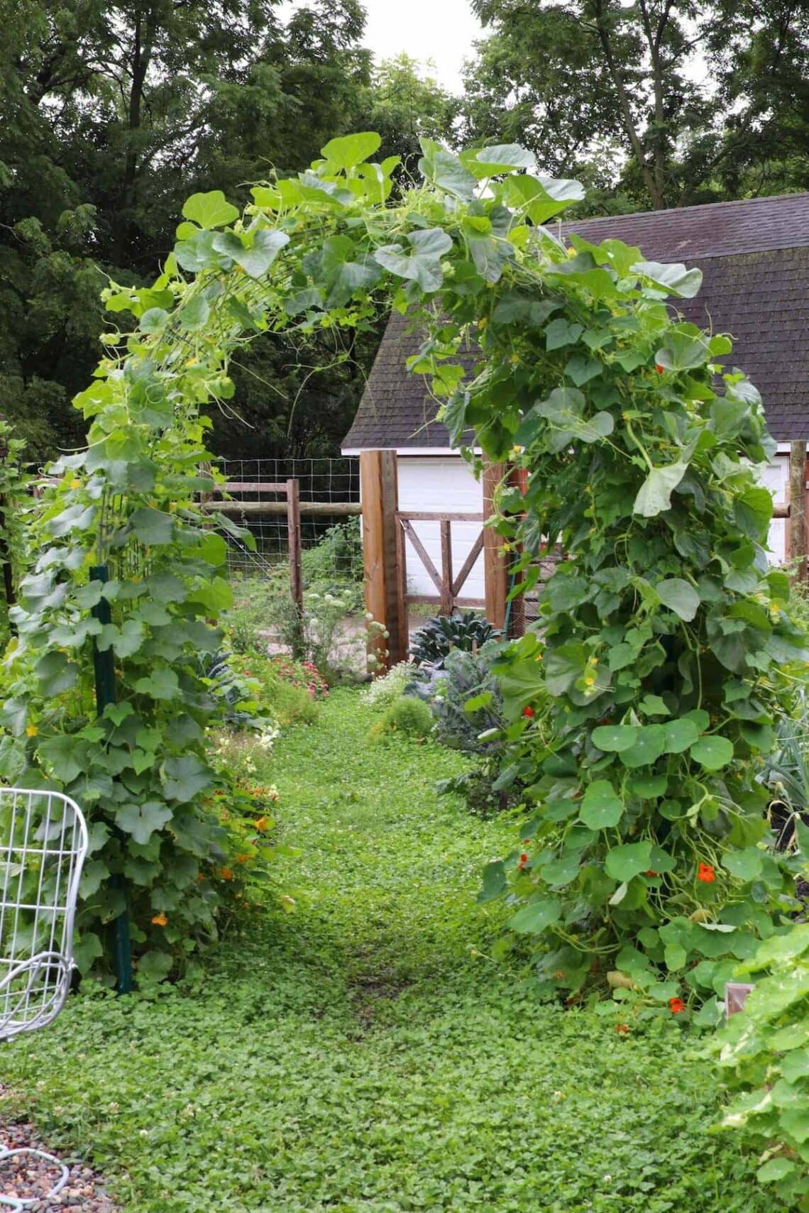 7 Best Cucumber Trellis Ideas + Easy DIY Designs with Photos ...