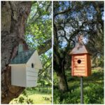 Bird-Friendly Gardens: How to Attract Birds to Your Yard ~ Homestead ...