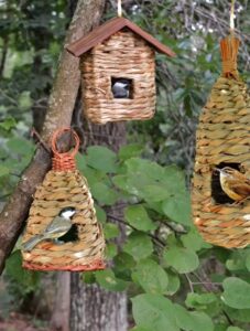 Bird-Friendly Gardens: How to Attract Birds to Your Yard ~ Homestead ...