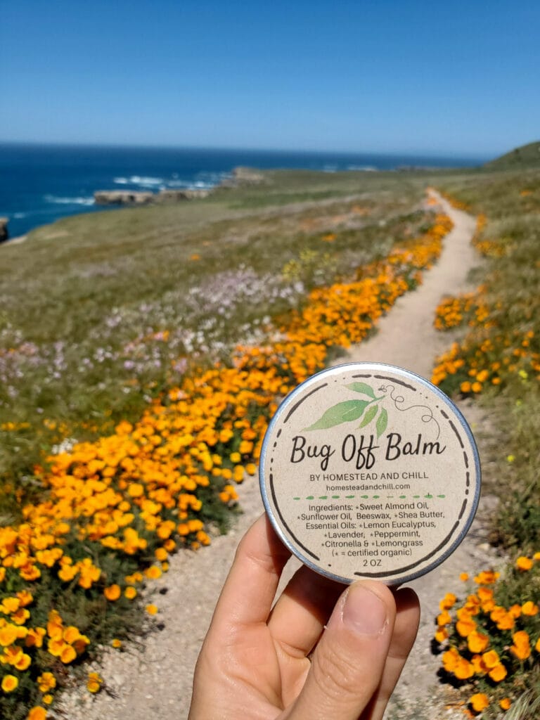 Spectacular California Wildflower Superbloom 2023 Photos ~ Homestead and Chill