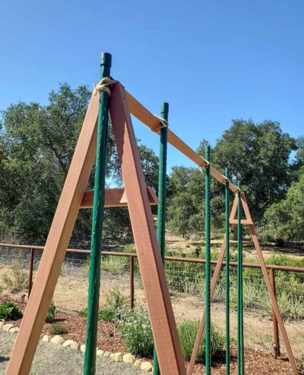 How to Make the Best DIY Tomato Trellis (Stake Weave Hybrid ...