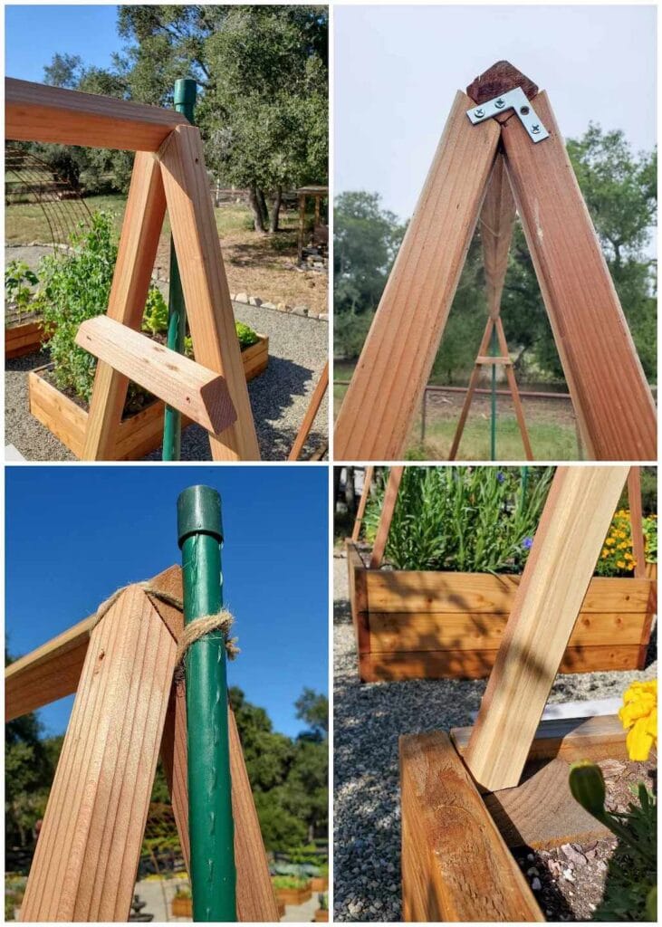 How to Make the Best DIY Tomato Trellis (Stake Weave Hybrid ...