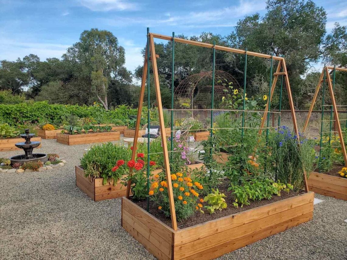 How to Make the Best DIY Tomato Trellis (Stake Weave Hybrid ...