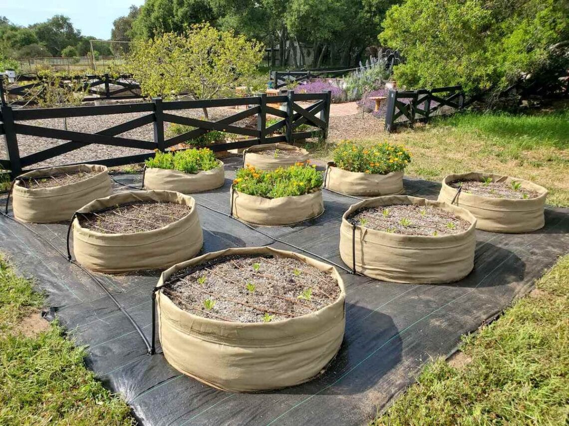 Easy Raised Bed Drip Irrigation System (from Faucet or Spigot ...