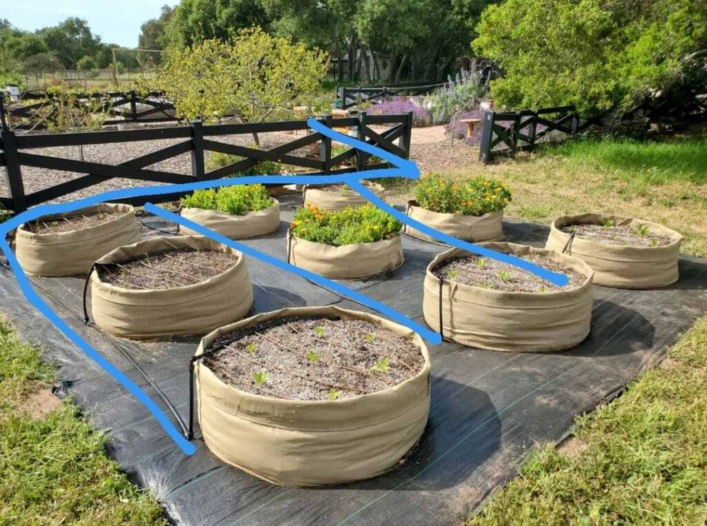 Easy Raised Bed Drip Irrigation (from Faucet or Spigot) ~ Homestead and ...