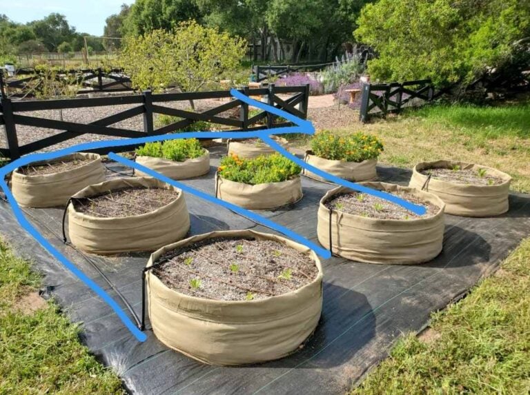 Easy Raised Bed Drip Irrigation (from Faucet or Spigot) ~ Homestead and ...