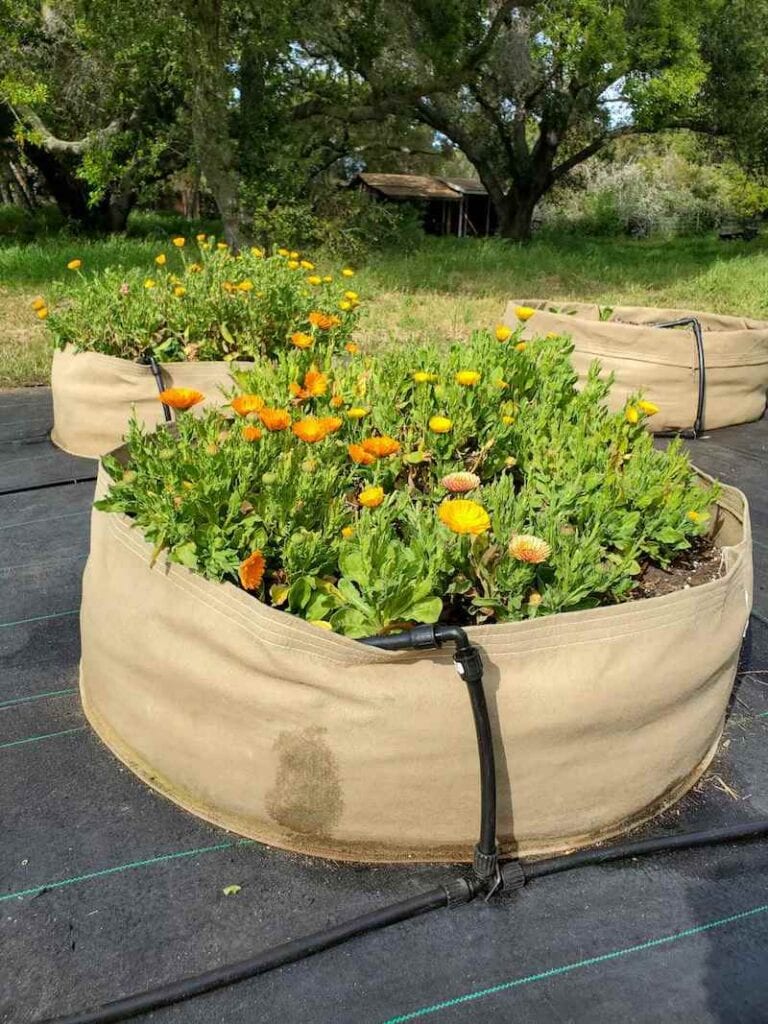 Easy Raised Bed Drip Irrigation (from Faucet or Spigot) ~ Homestead and ...