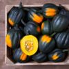 28 Best Winter Squash and Pumpkin Varieties to Grow ~ Homestead and Chill