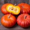 28 Best Winter Squash and Pumpkin Varieties to Grow ~ Homestead and Chill