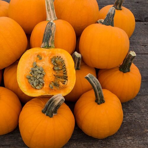 28 Best Winter Squash and Pumpkin Varieties to Grow ~ Homestead and Chill