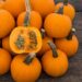 28 Best Winter Squash and Pumpkin Varieties to Grow ~ Homestead and Chill