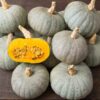 28 Best Winter Squash and Pumpkin Varieties to Grow ~ Homestead and Chill