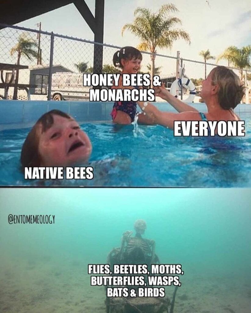 10 Ways to Help Pollinators: Save Bees, Butterflies & Beyond ...