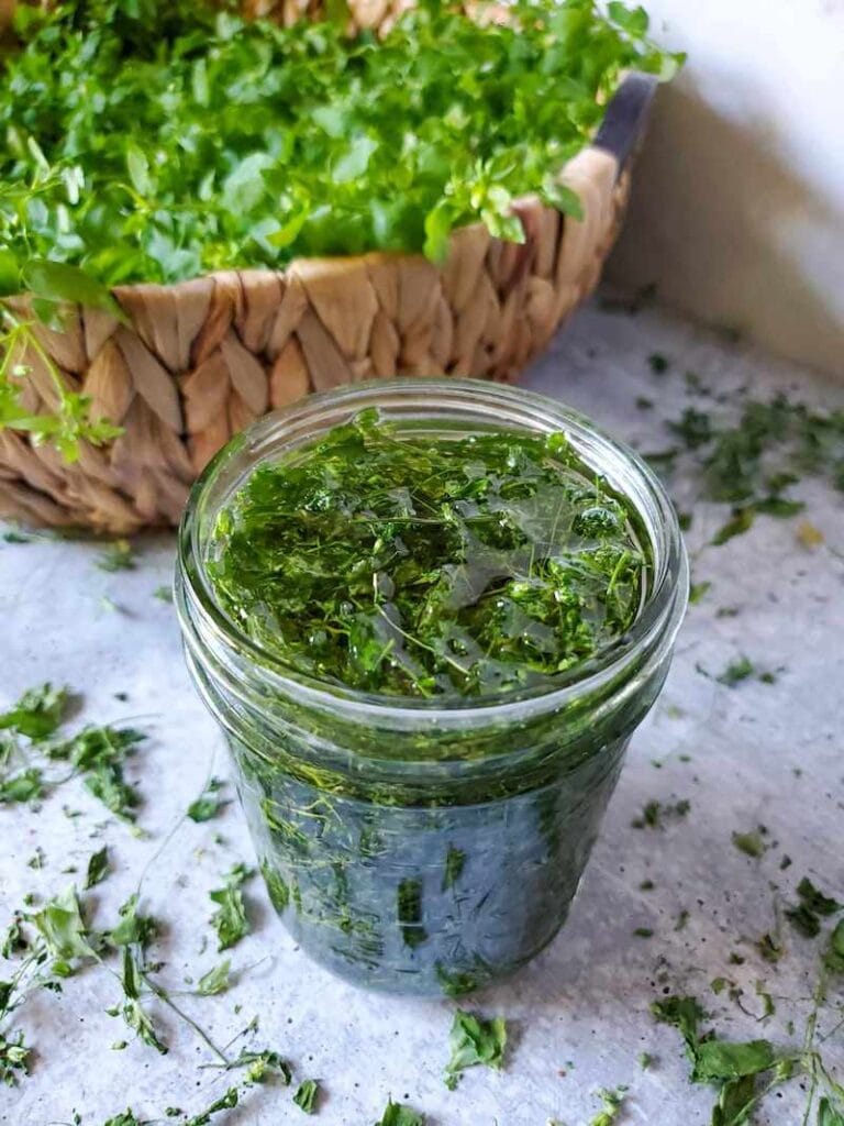 How to Make Soothing Chickweed Salve Recipe and Infused Oil ~ Homestead ...