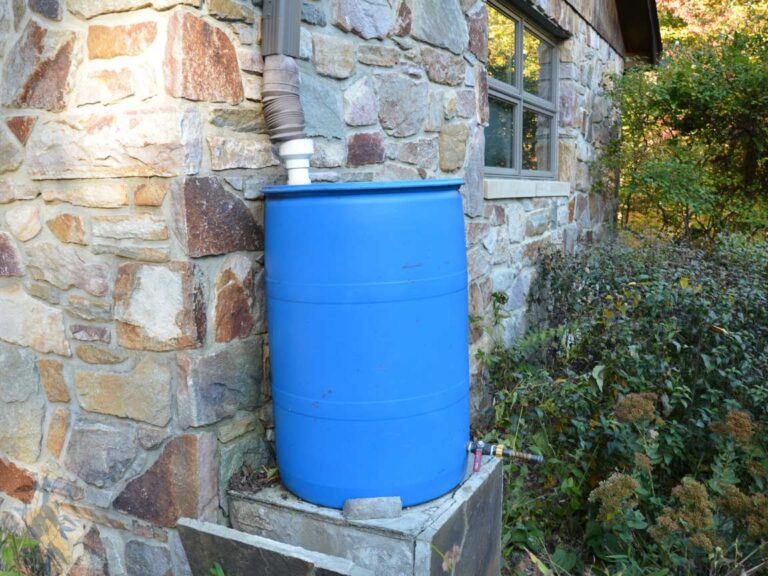 Rainwater Collection Systems 101: How to Harvest Rainwater at Home ...