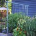 How to Make the Best DIY Tomato Trellis (Stake Weave Hybrid ...