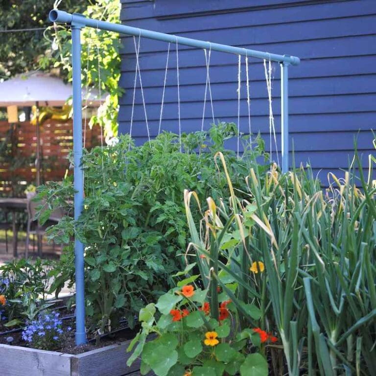 How to Make the Best DIY Tomato Trellis (Stake Weave Hybrid ...