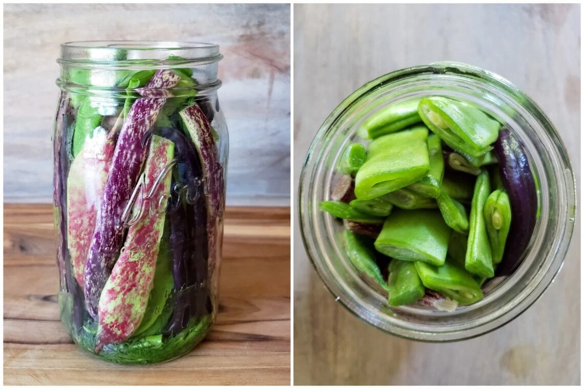 Probiotic-Packed "Pickled" Fermented Dilly Green Beans ~ Homestead and ...