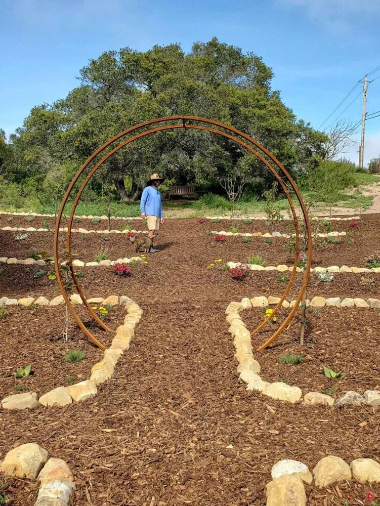 New Pollinator Orchard Garden on a Hill (Permaculture Berms Terraces ...