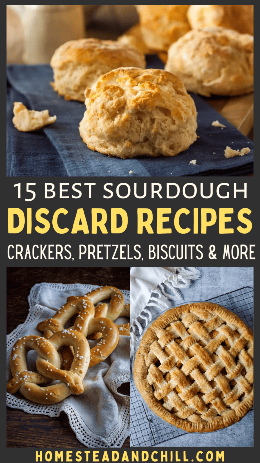 15 Best Sourdough Discard Recipes: Ways to Use Starter Discard ...