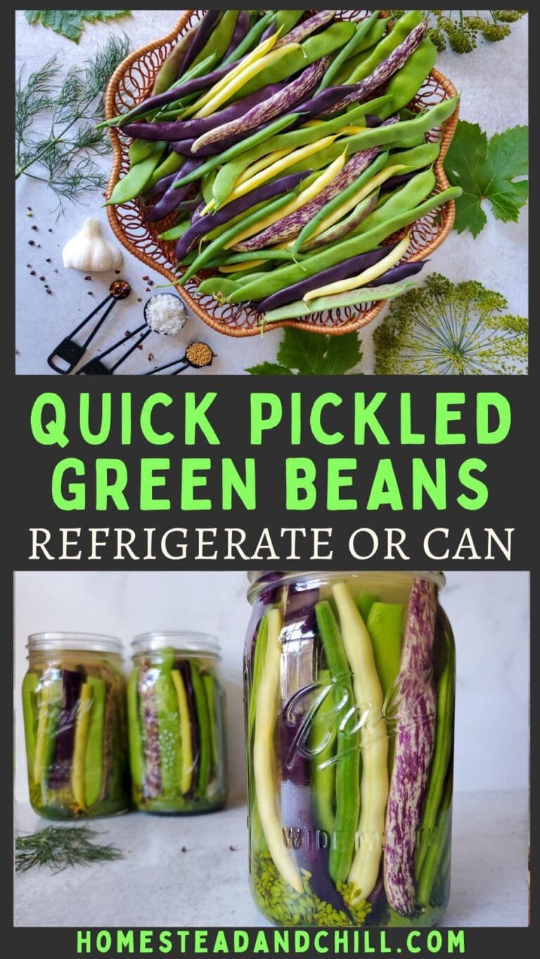 Quick Pickled Dilly Green Beans Recipe (Refrigerator or Canning ...