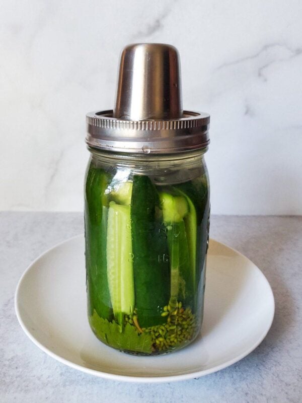 Fermented Pickles Recipe: How to Make Crunchy Brined Cucumber Pickles ~ Homestead and Chill