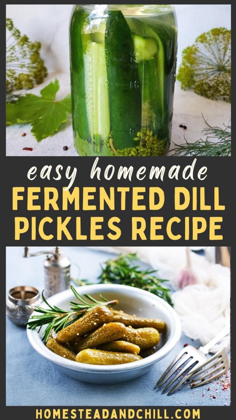 Fermented Pickles Recipe (How to Make Lacto-Fermented Cucumber Pickles ...