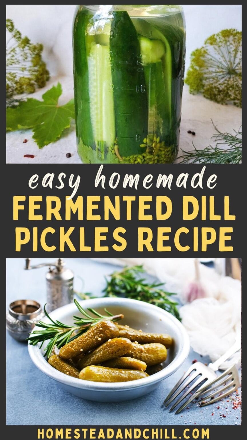 Fermented Pickles Recipe (How to Make Lacto-Fermented Cucumber Pickles ...