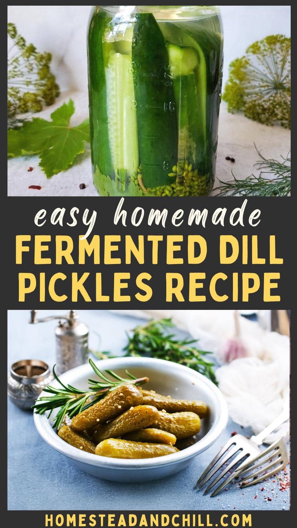 Fermented Pickles Recipe (How to Make Lacto-Fermented Cucumber Pickles ...