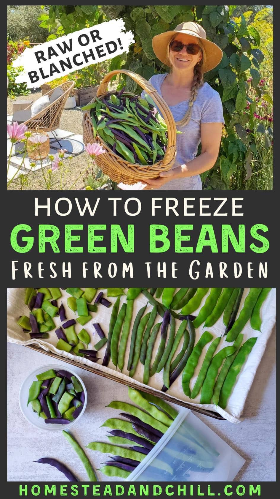 How to Freeze Green Beans (With or Without Blanching) ~ Homestead and Chill