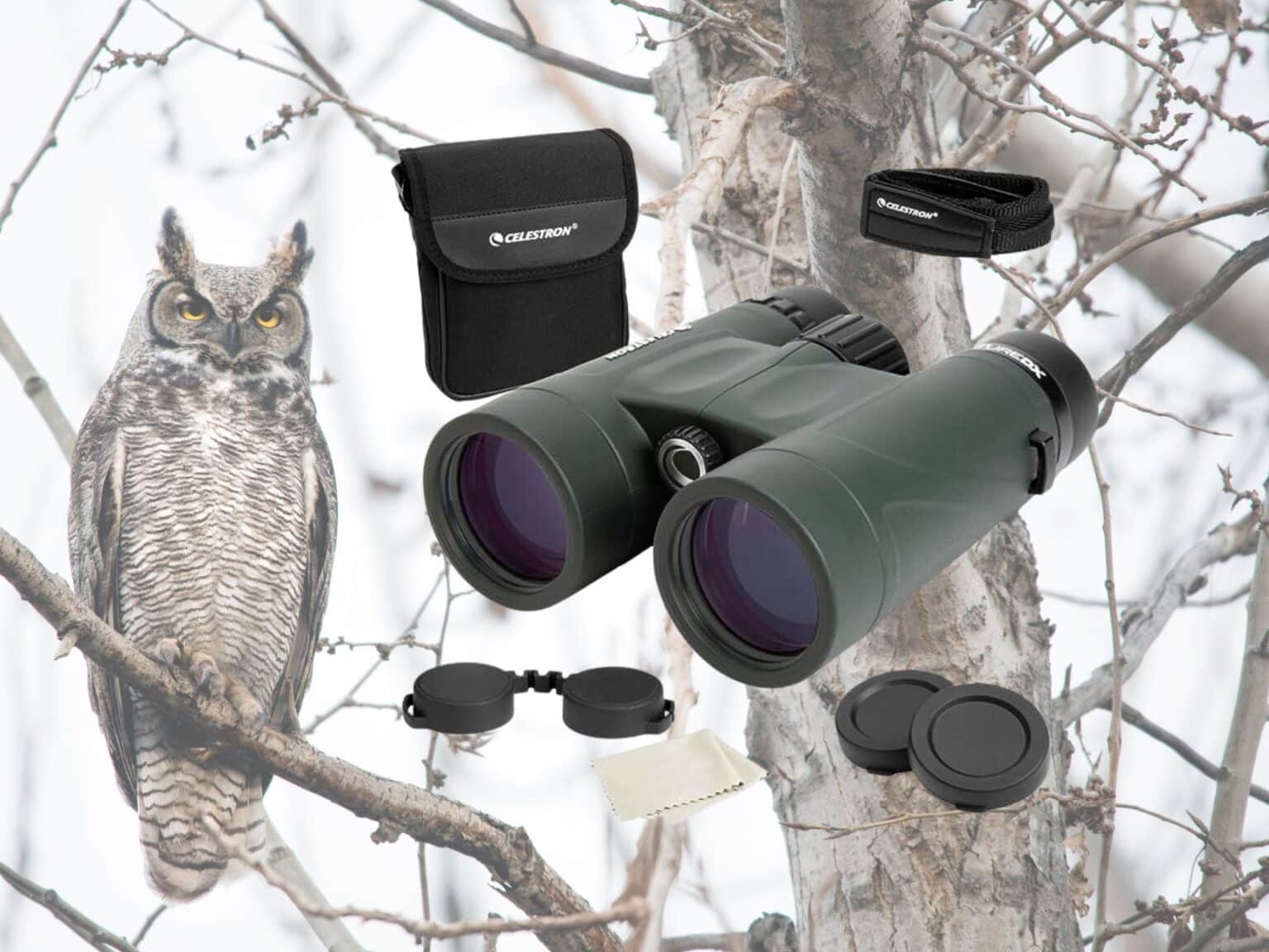 Birding Gift Guide: 20+ Best Gift Ideas for Bird Lovers ~ Homestead and ...
