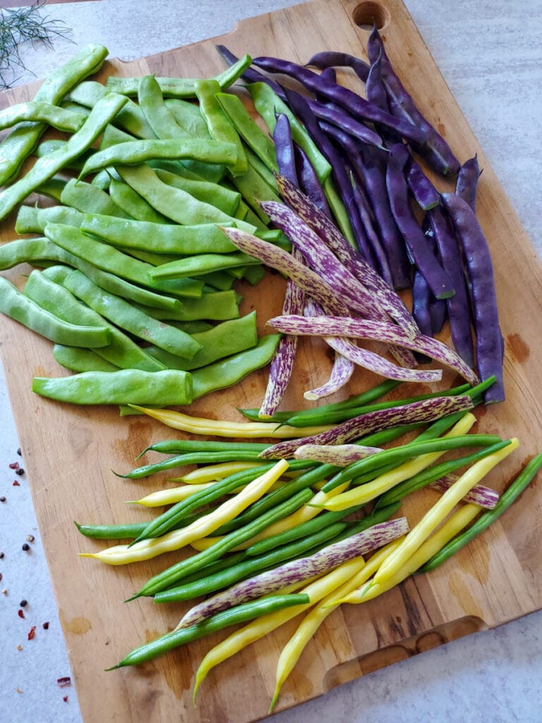 Quick Pickled Dilly Green Beans Recipe (Refrigerator or Canning ...