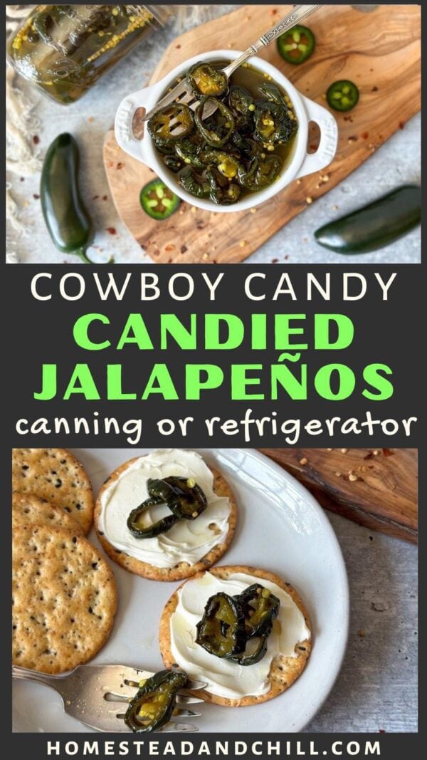 Best Cowboy Candy Recipe (Candied Jalapeños) Canning or Refrigerator ...