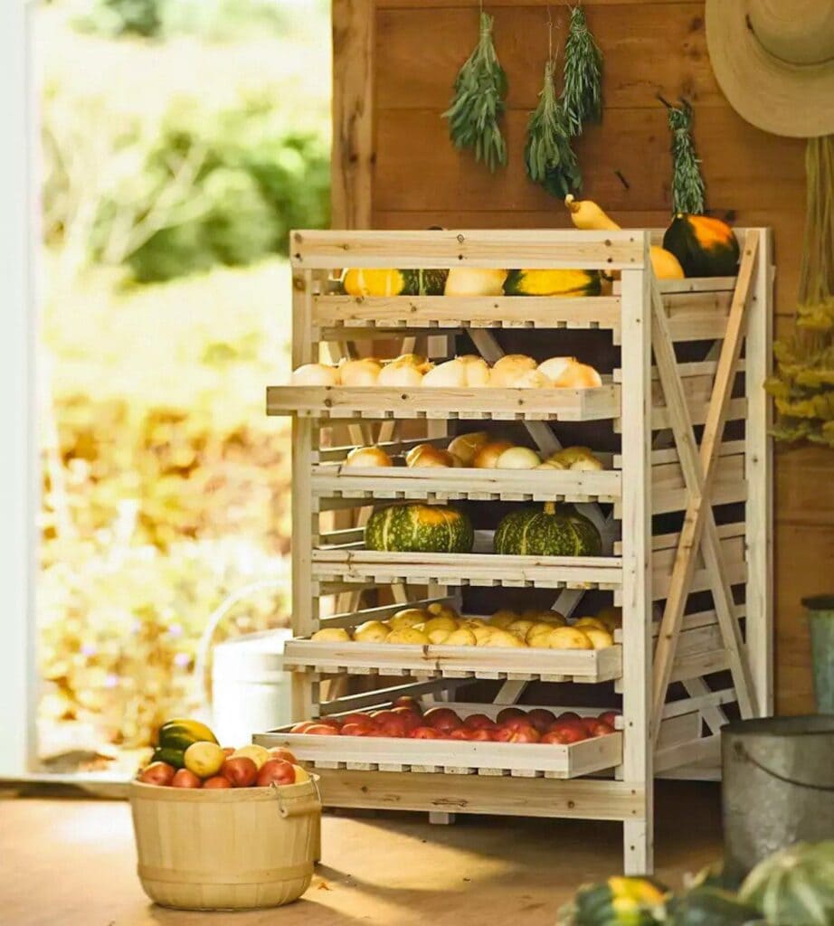 Growing Winter Squash and Pumpkins: The Ultimate Guide ~ Homestead and ...