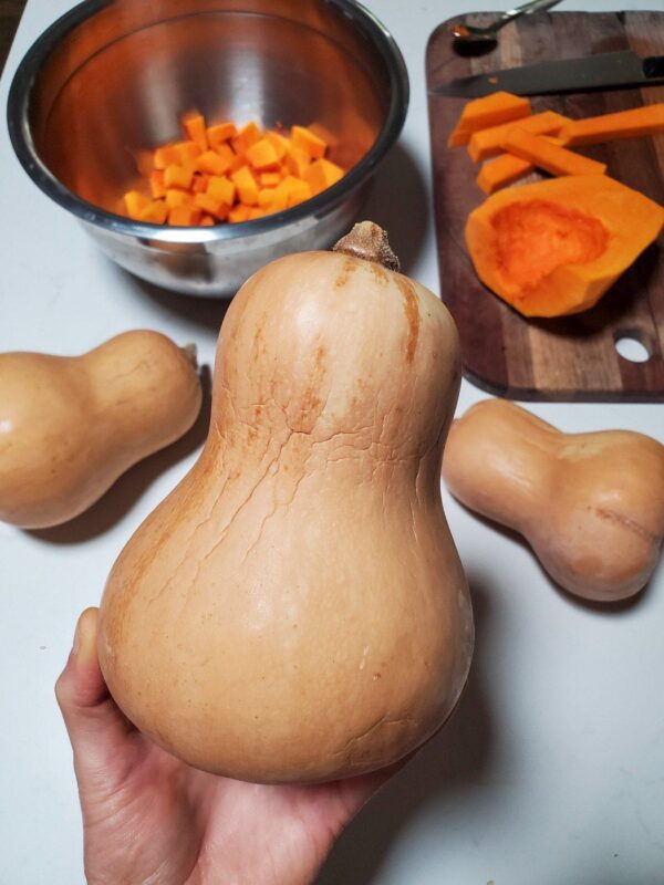 When to Harvest Butternut Squash or Pumpkins (How to Cure and Store ...