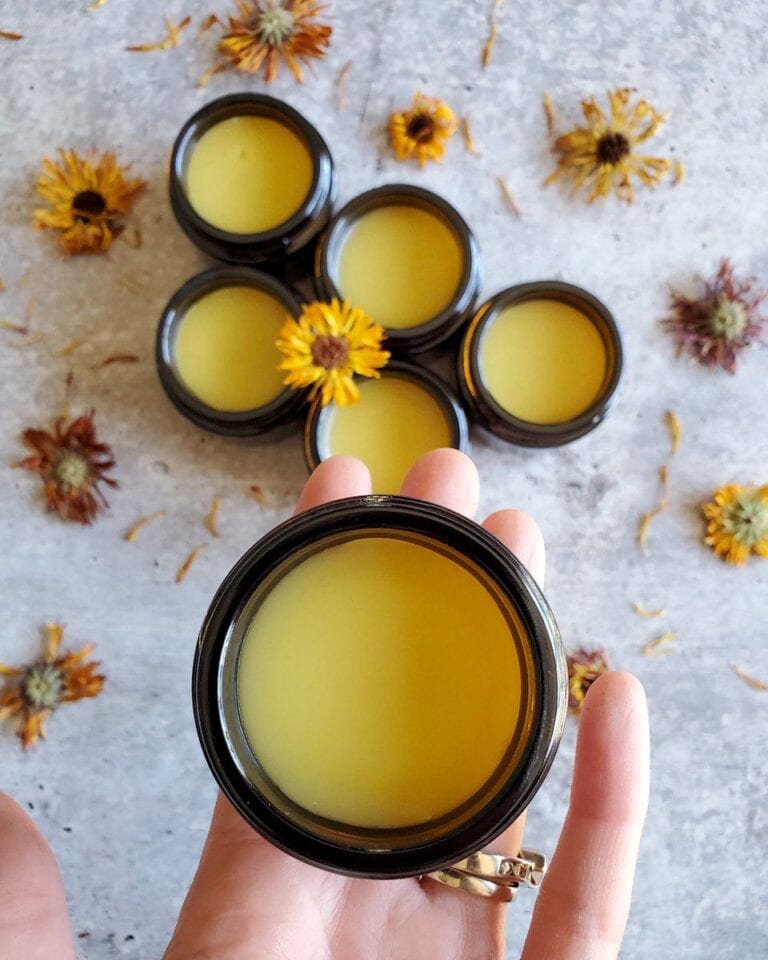 How to Make Homemade Calendula Salve for Healthy Skin ~ Homestead and Chill