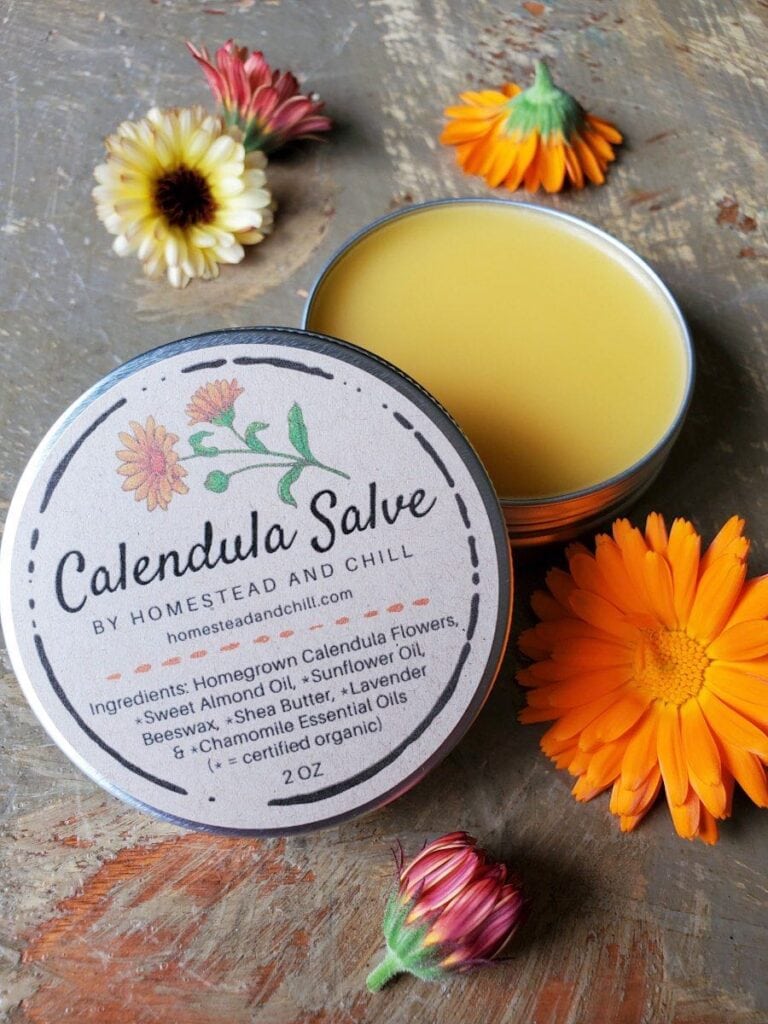 How to Make Homemade Calendula Salve for Healthy Skin ~ Homestead and Chill