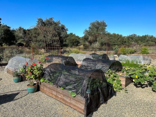 Garden Hoops and Row Covers for Pest Control, Shade & Frost Protection ...