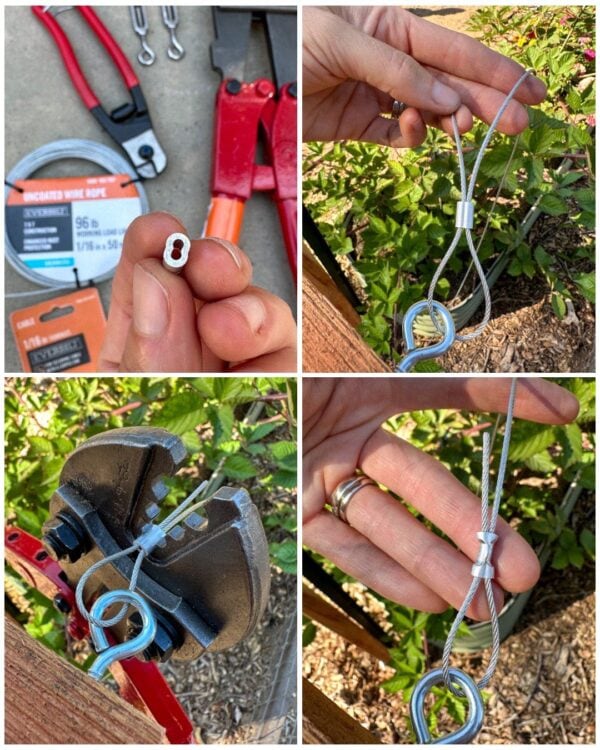 DIY Berry Trellis: How to Build a Wire Raspberry or Blackberry Trellis ...