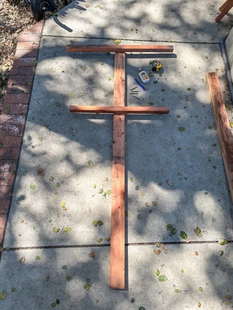 DIY Berry Trellis: How to Build a Wire Raspberry or Blackberry Trellis ...