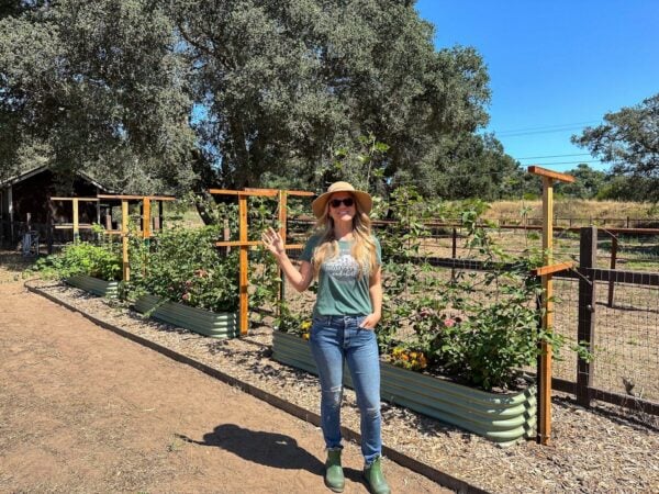 DIY Berry Trellis: How to Build a Wire Raspberry or Blackberry Trellis (Video) ~ Homestead and Chill