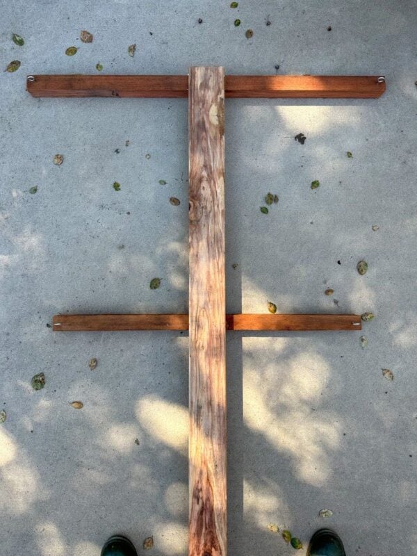 DIY Berry Trellis: How to Build a Wire Raspberry or Blackberry Trellis ...