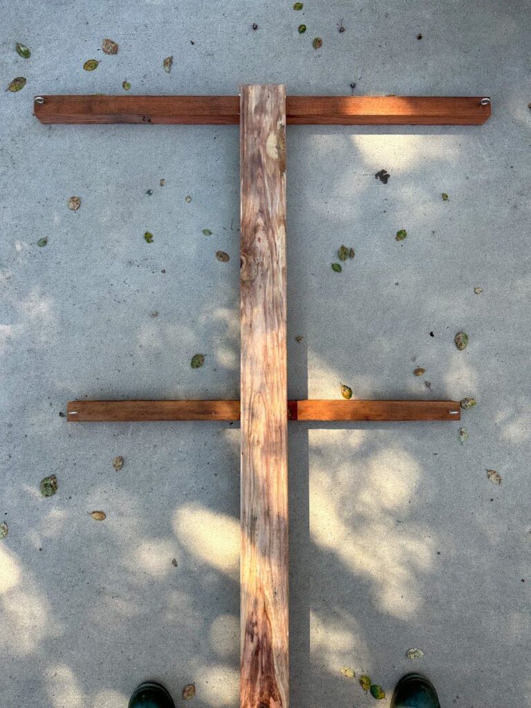 DIY Berry Trellis: How to Build a Wire Raspberry or Blackberry Trellis ...