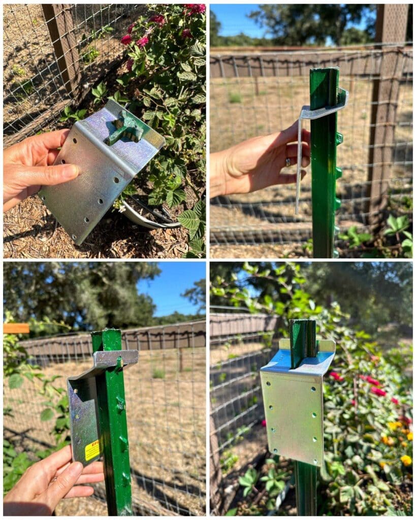 DIY Berry Trellis: How to Build a Wire Raspberry or Blackberry Trellis ...