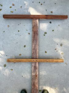 DIY Berry Trellis: How to Build a Wire Raspberry or Blackberry Trellis ...