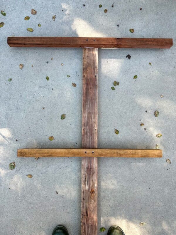 DIY Berry Trellis: How to Build a Wire Raspberry or Blackberry Trellis ...