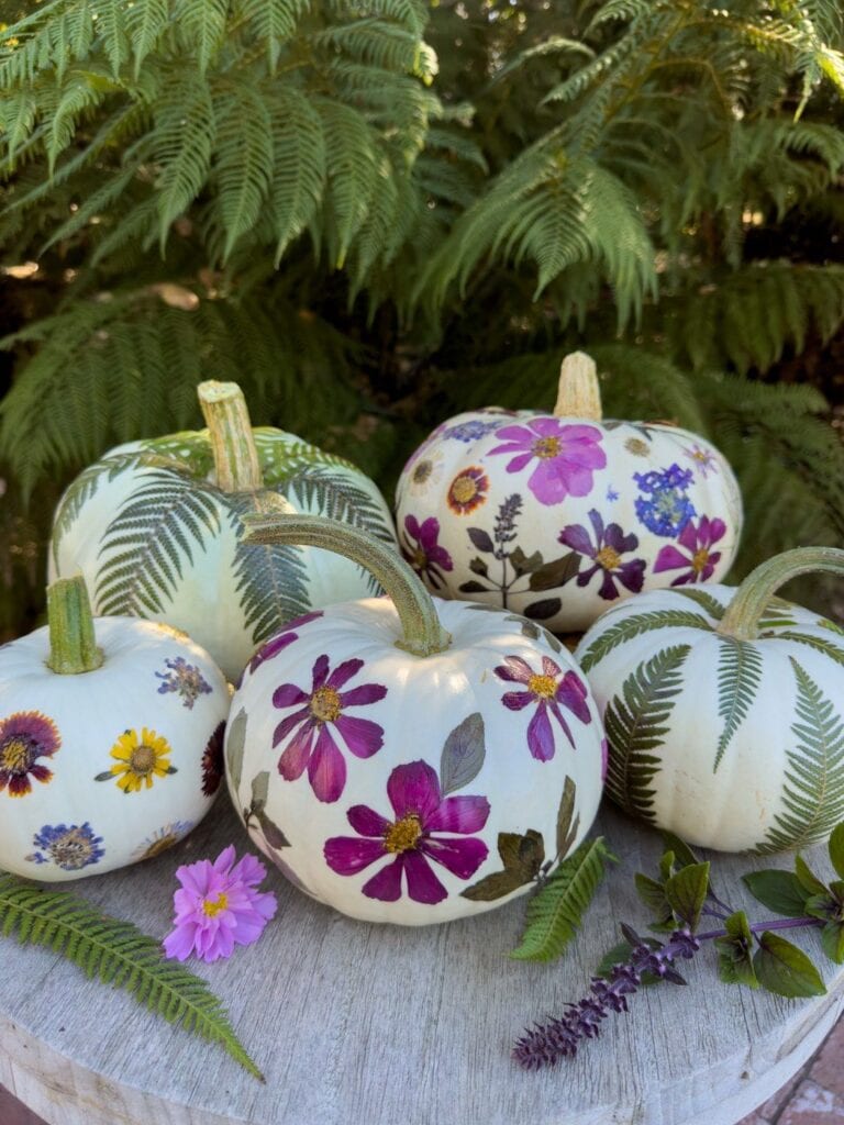 How to Make Pressed Flower Pumpkins: No-Carve Pumpkin Decorating Idea ...