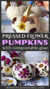 How to Make Pressed Flower Pumpkins: No-Carve Pumpkin Decorating Idea ...